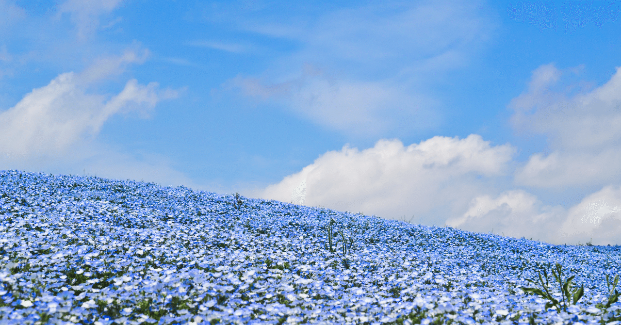 マーケティングを学ぶきっかけ｜あいか