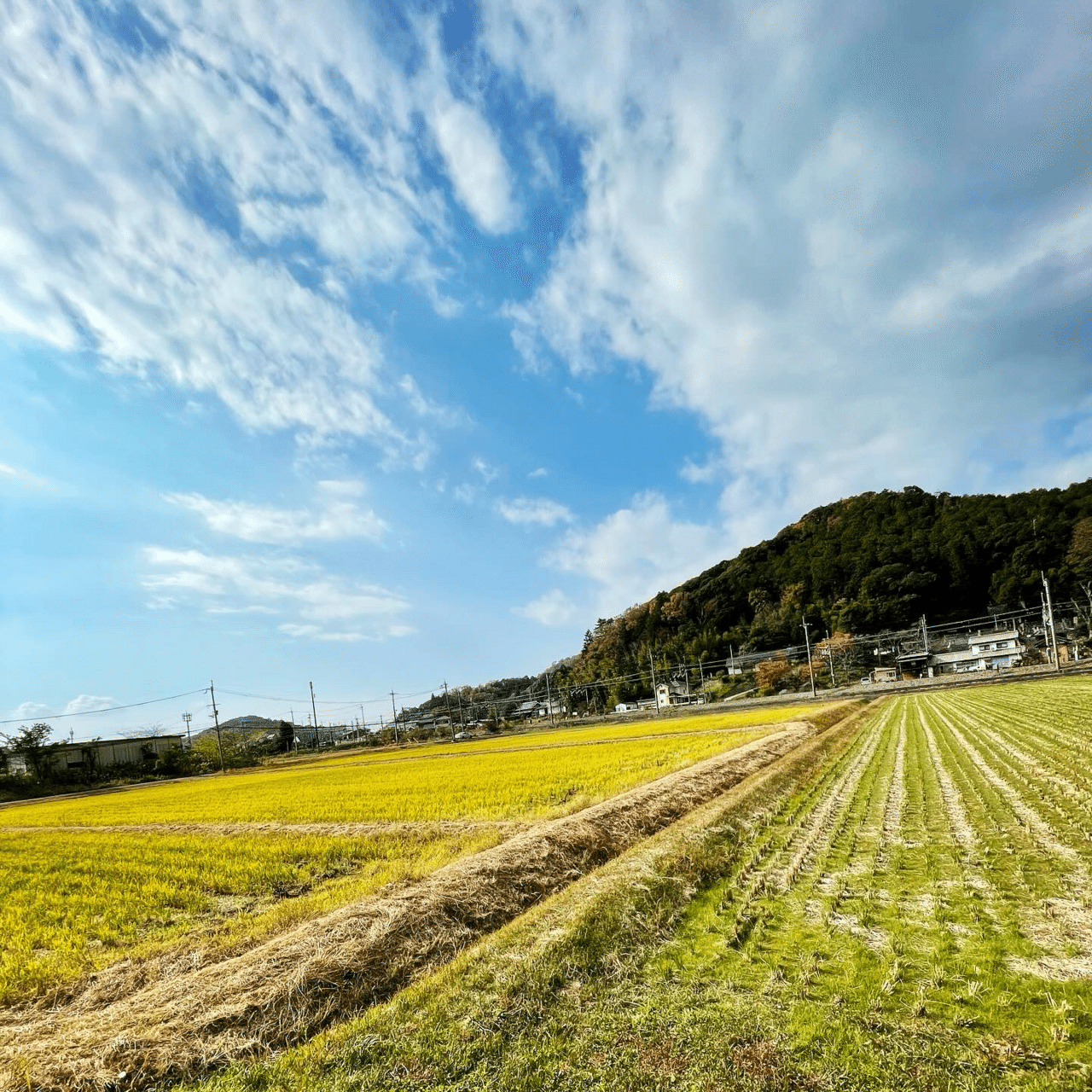 酒滴神社へ再再々｜ZUSH
