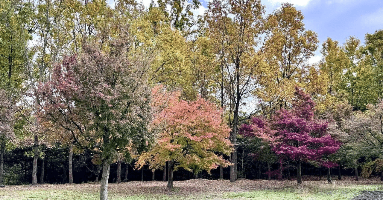 あと62日＊自然に触れた1日｜elecol_エレクル