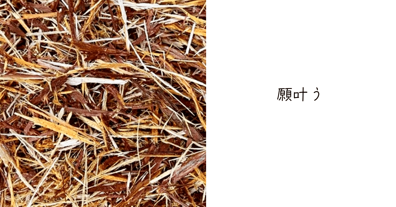 リフォレスターの実力を知るため、一度入れてみたかった！｜Ms'HIRO