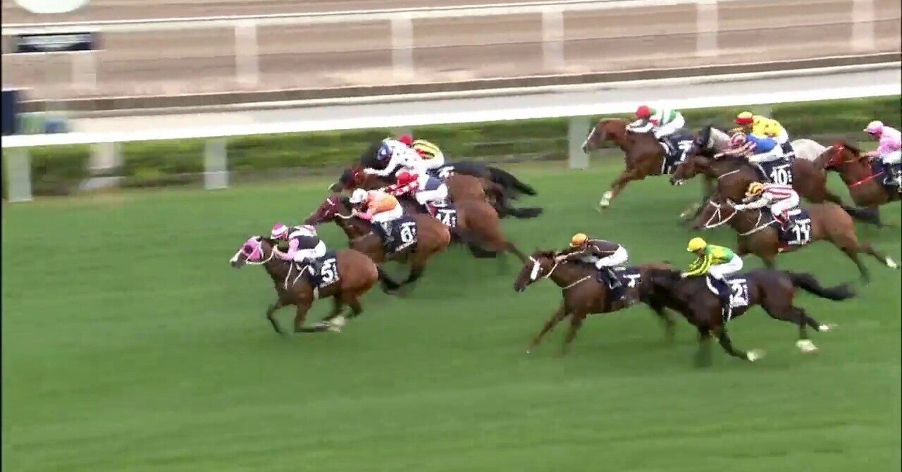 【激熱波乱🔥爆穴馬で重賞勝負🔥🚀🚀】【中山11r】スポーツニッポン賞ステイヤーズステークス(gⅢ)💰【自信度s】🌈勝利の鍵はここにあり😤|さやだま
