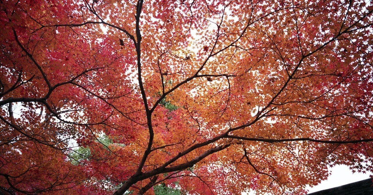 23年11月24日 京都へ｜robert_oku