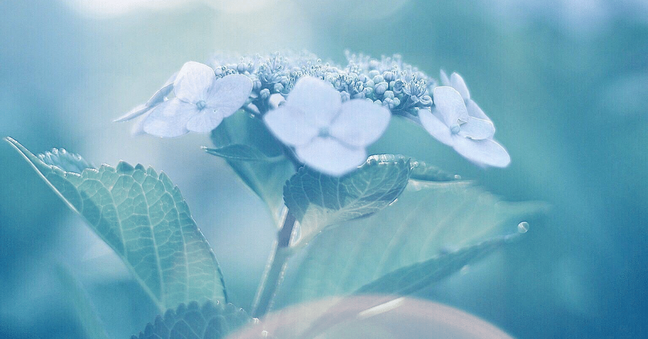 テキストアニメーション｜neko.usaさん