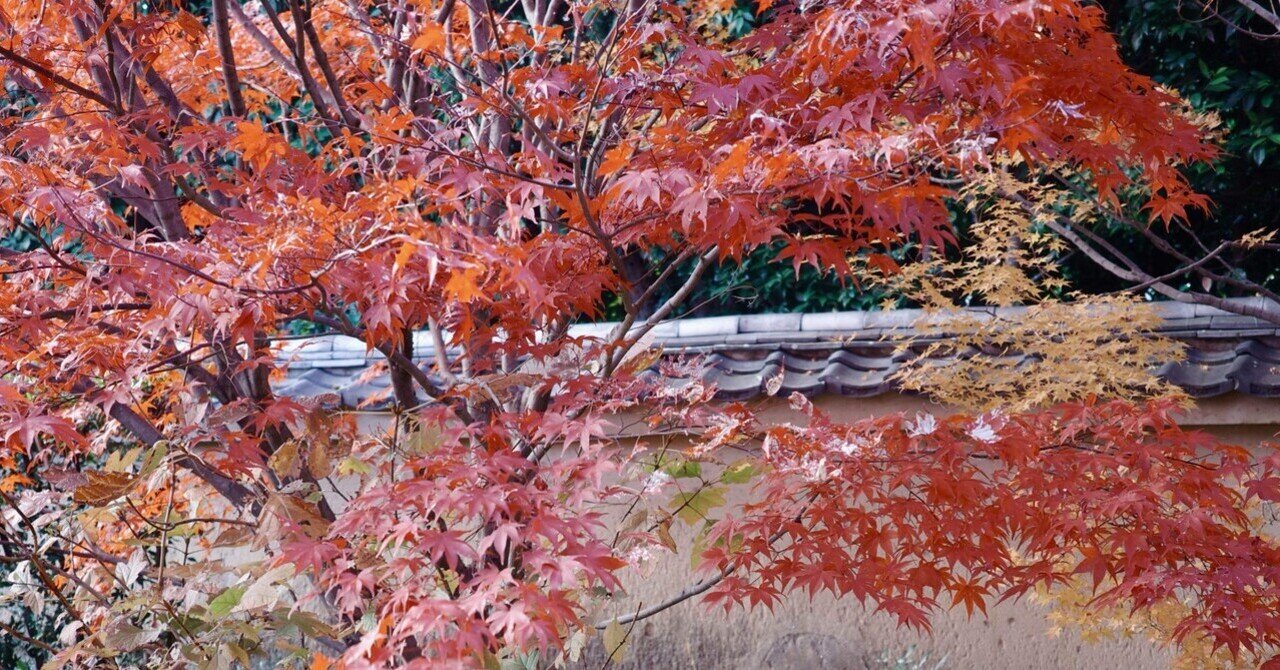 shirasu camera｜note