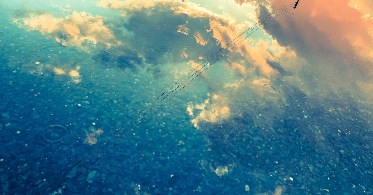 夜に惑う鳥は、朝陽に焦がれる｜Yui Aoyama