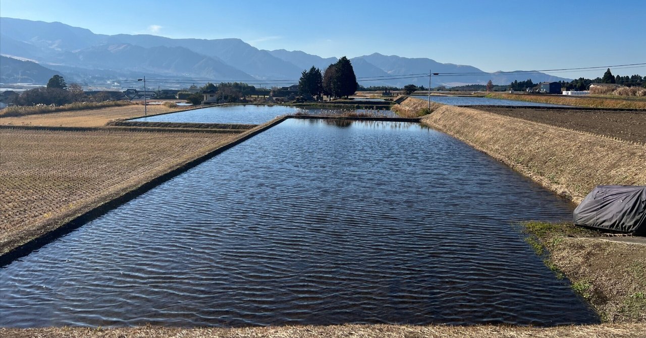 冬期湛水を始めました。｜bocci bocci ブログ