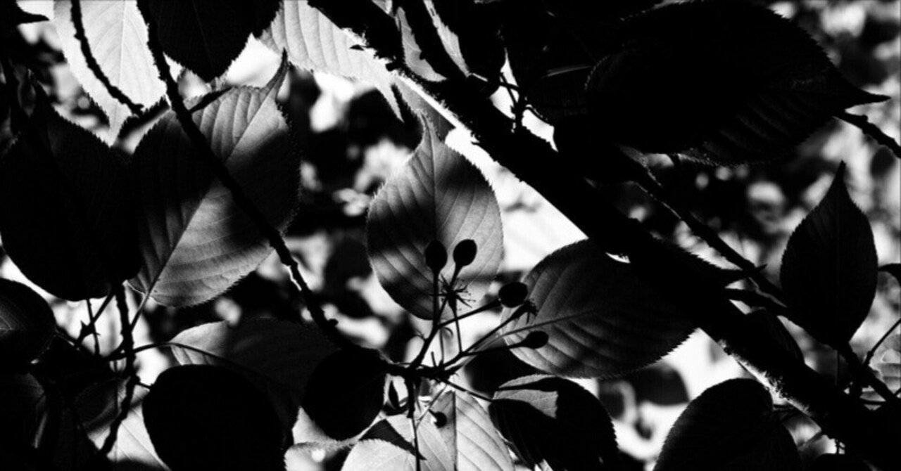 MAD LIFE 214｜黒田研二