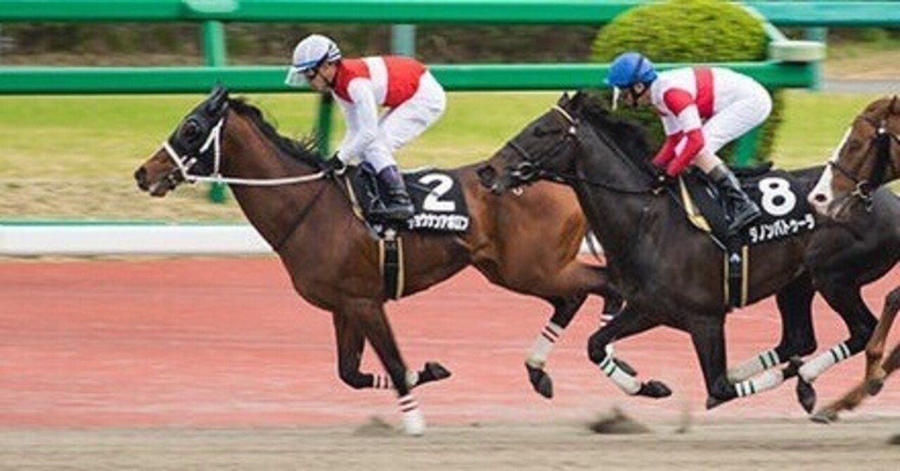 中央競馬予想 123日 中山、阪神、中京全レース【無料配信】｜スマイリー｜競馬予想project🐎