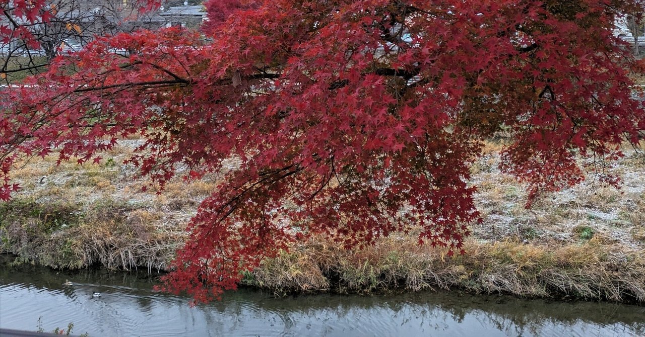 一枚の画像〜紅い｜ichiro70