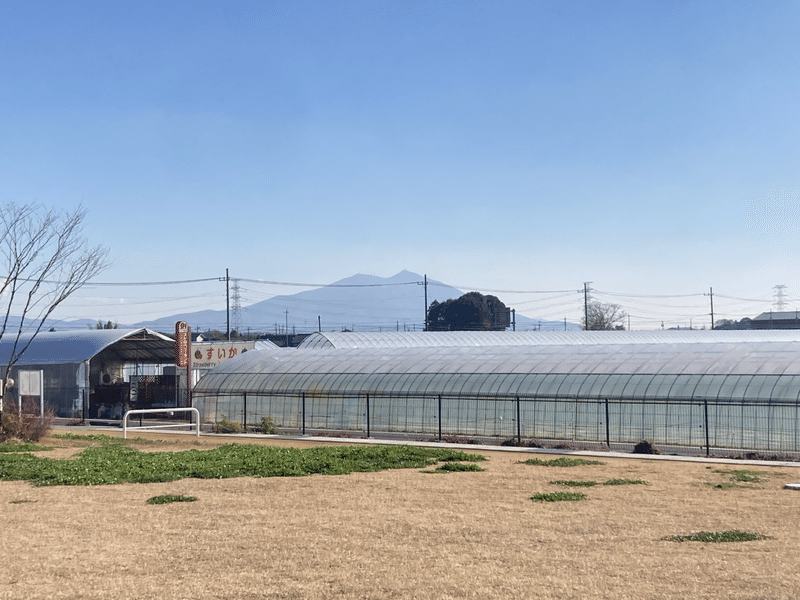 グランテラス筑西Xmasマルシェ2023ありがとうございました！ ｜さくらとみずえのぐ