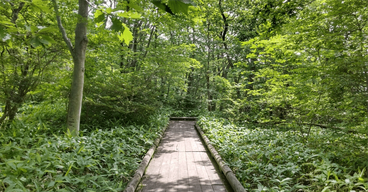 転職活動その1／適応障害後｜Bitoke