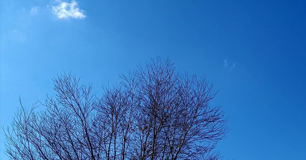 【今日12月7日木のおうし座♉オンリー占い】来年2024年に持っていかない荷物を整理していく。｜【おうし座♉オンリー占い】