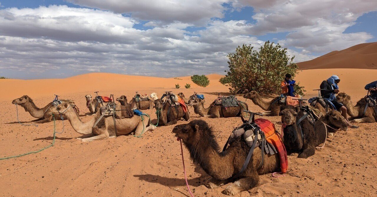 #137 応援の為にNOTE㈱の株式を購入。個別株投資をすることで見えてくる世界もある｜FIRE×世界一周×人生観 YOSUKE(30代)