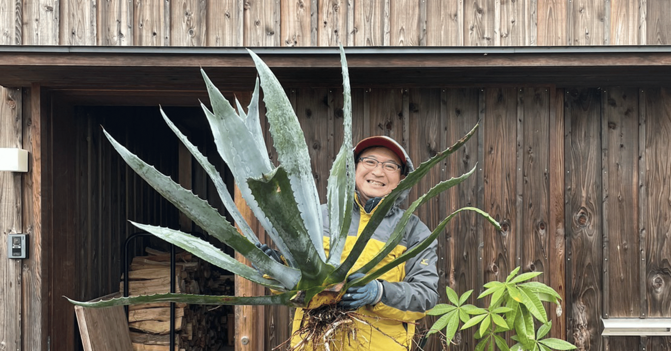 mitsuru fujita｜note