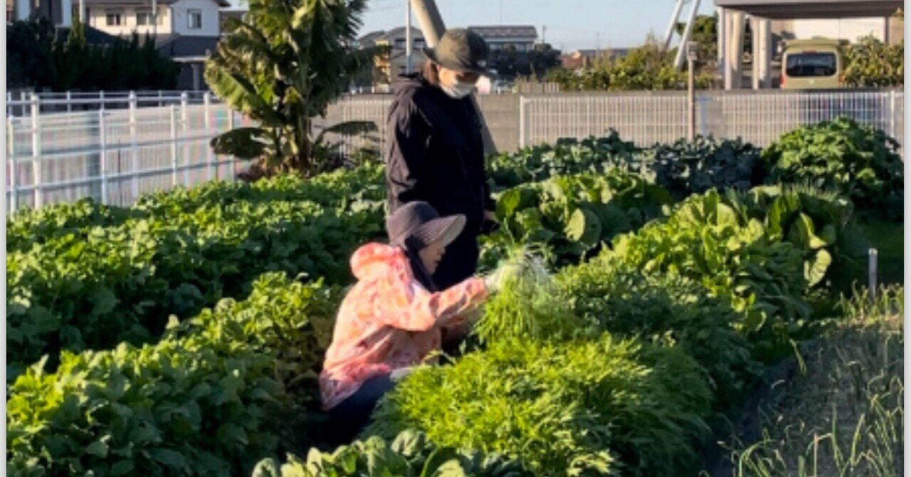 自己紹介🧑‍🌾｜SANAE FARM | さなえファーム