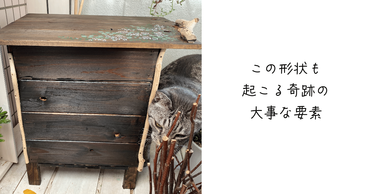 ベランダで野菜栽培に失敗した人こそ試してもらいたい、リフォレスター（その3）。｜Ms'HIRO