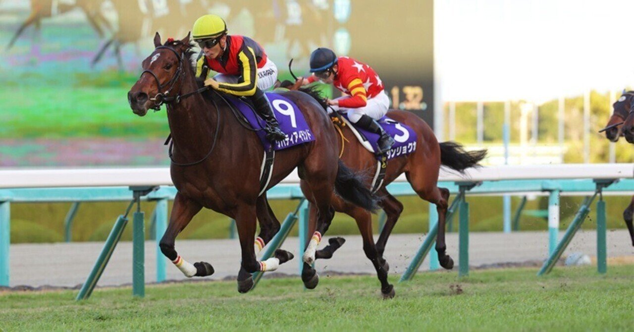 【2023 阪神ジュベナイルF（G1）】徹底的に攻略データ篇｜Haya