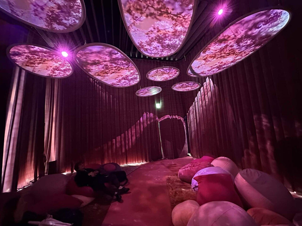 #エリアLOVEWalker の連載記事をアップしました。 ⇨玉置泰紀の #アート散歩・第16回 #虎ノ門ヒルズ の情報発信拠点「TOKYO NODE」開館記念企画 第二弾 #蜷川実花 が挑む ...