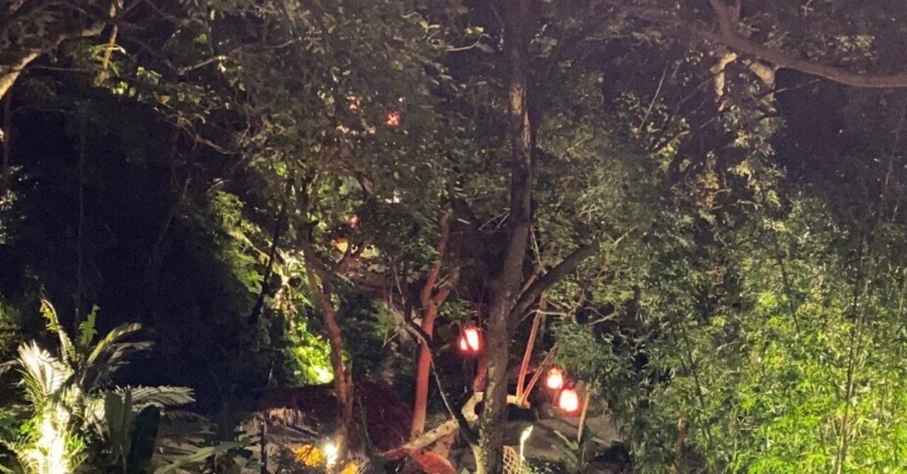 亜熱帯サウナに行ってきた/行ってきます！｜Ryosuke Yamaguchi