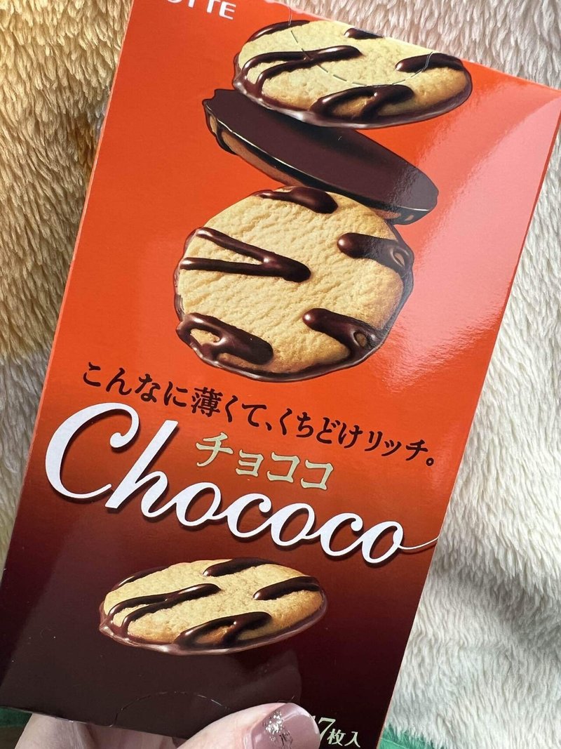 カウンセリング28回目、言葉にしないもの｜うみ