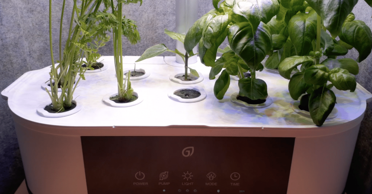 家庭菜園.2 【50日目〜56日目】｜Aqua Farmer