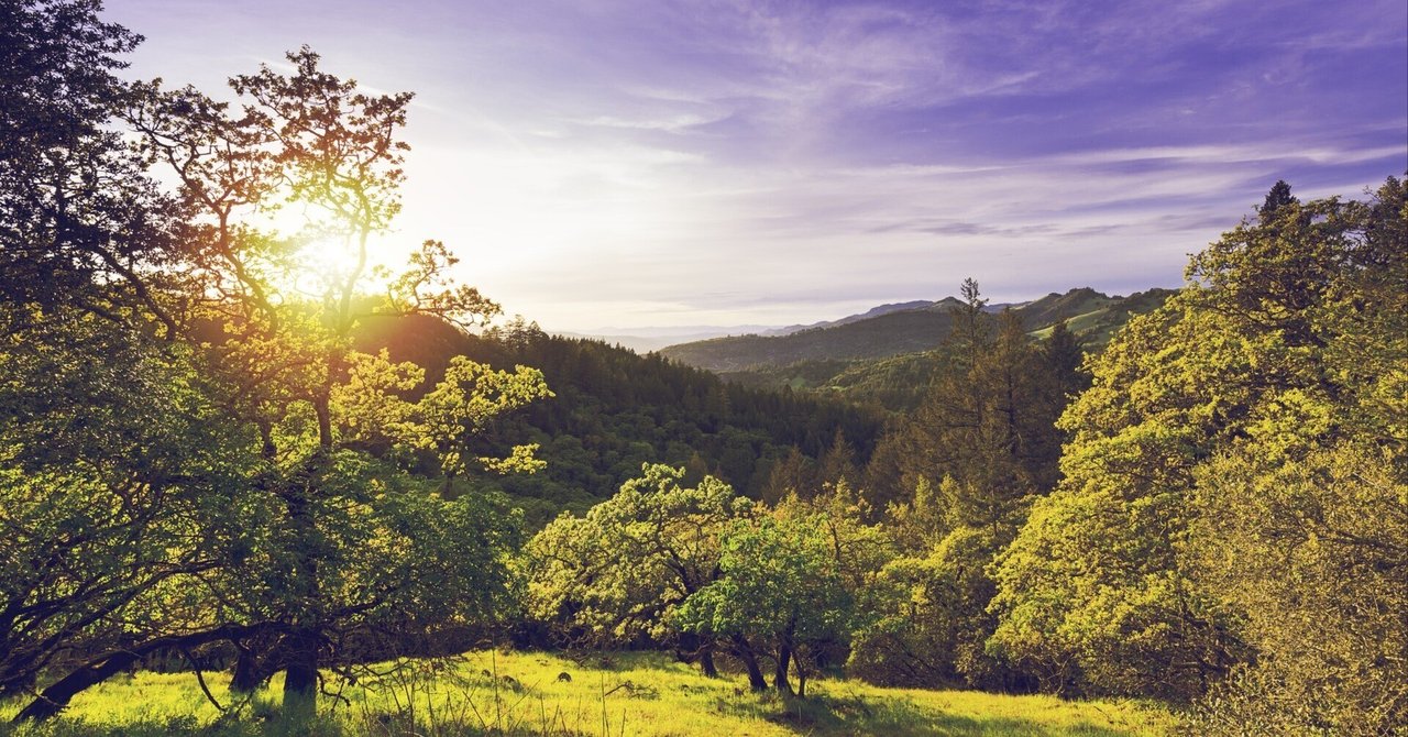 iOSアプリ開発のXcodeプロジェクト設定と仲良くなろう｜NAVITIME_Tech