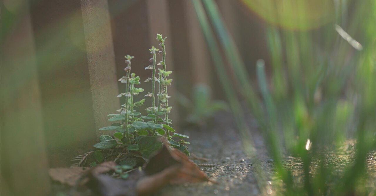 心と呼吸を整える鐘の音｜Mieko Horikoshi