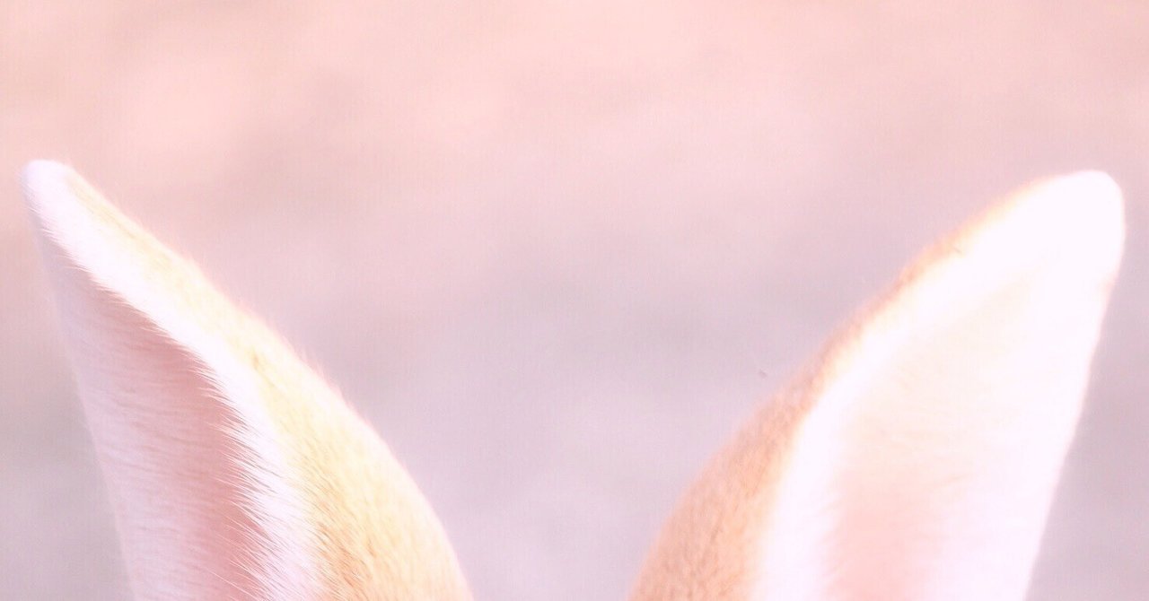 ご予約状況｜Yoshie / Petit Lapin