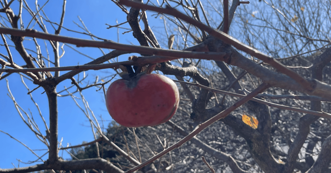 ”書く”を見つめる｜Miyamoto Daichi