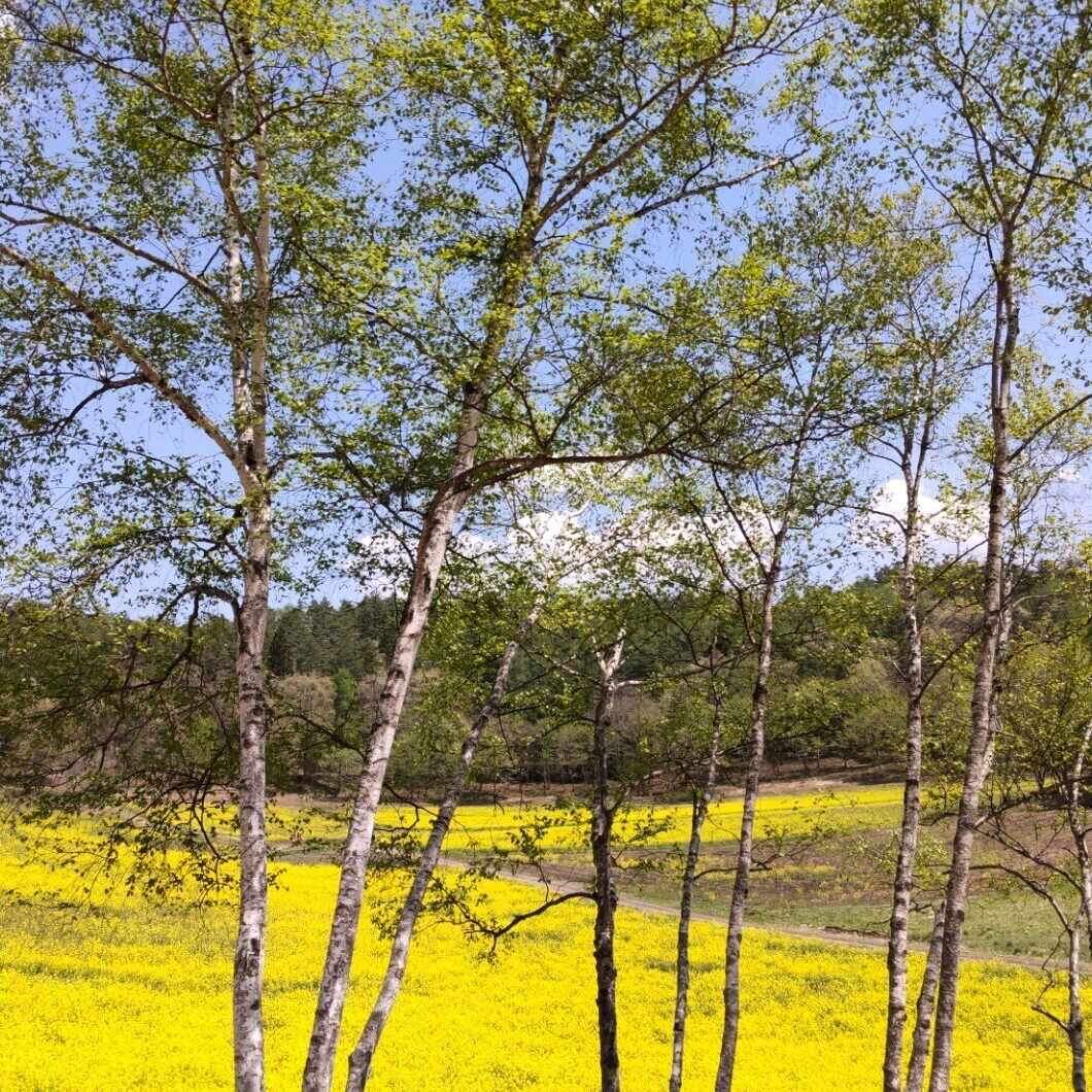 らじるらじるで毎日英語——（2）ニュースで学ぶ現代英語｜Mi_Wright