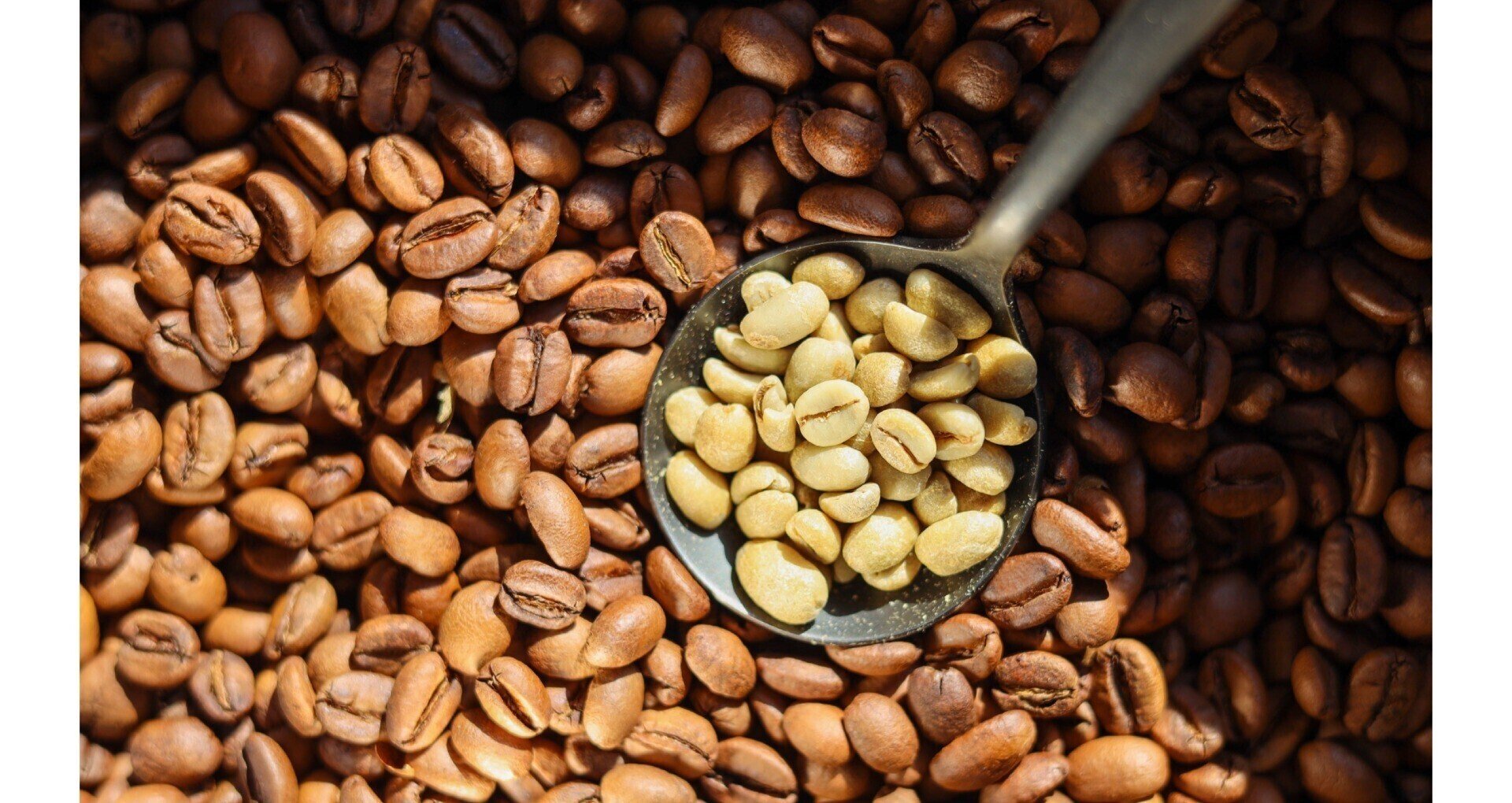 相野谷大輔（Ainoya Daisuke）｜note