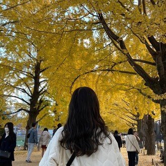 Miyu Fujisawa｜note