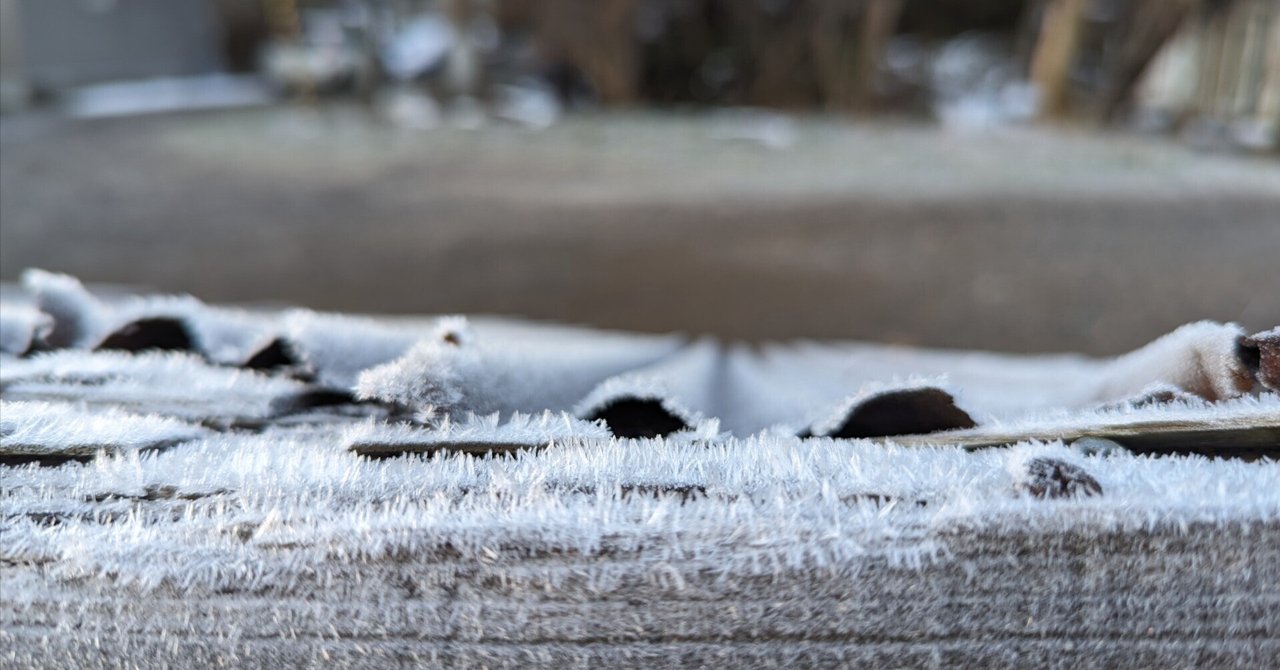 荒ぶる野生｜Dala Space ひろこ