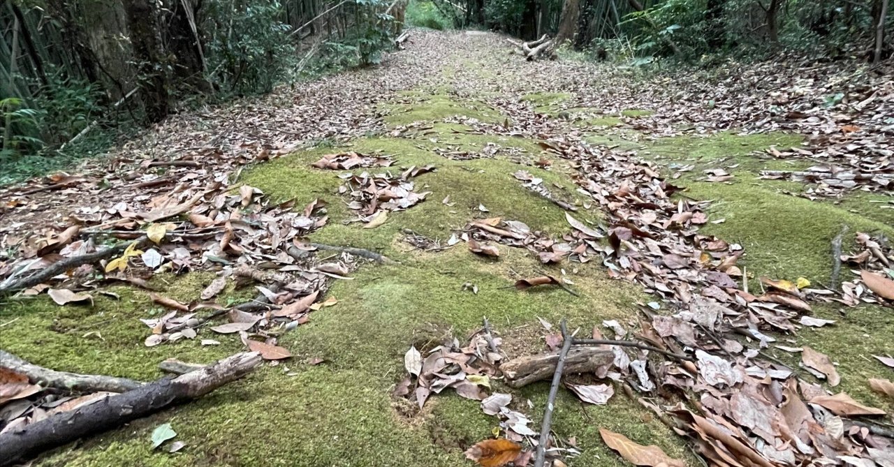 トゥモロー ランド｜putoli