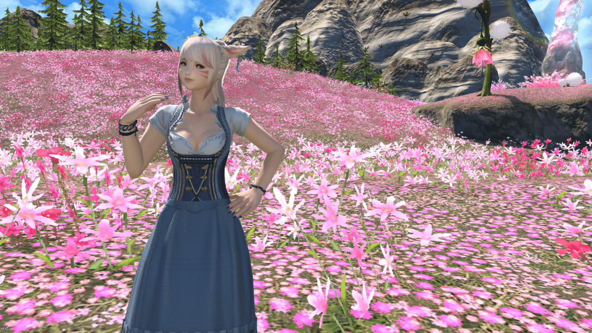 【FF14】SSをキレイに撮りたい！写真から学ぶ基礎知識｜しろぬこ