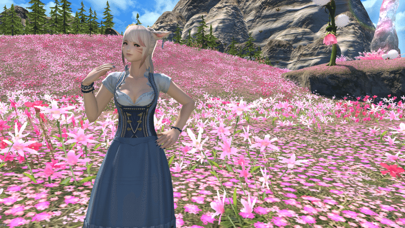 【FF14】SSをキレイに撮りたい！写真から学ぶ基礎知識｜しろぬこ