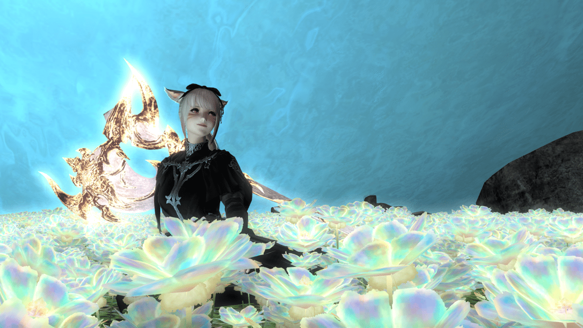 【FF14】SSをキレイに撮りたい！写真から学ぶ基礎知識｜しろぬこ