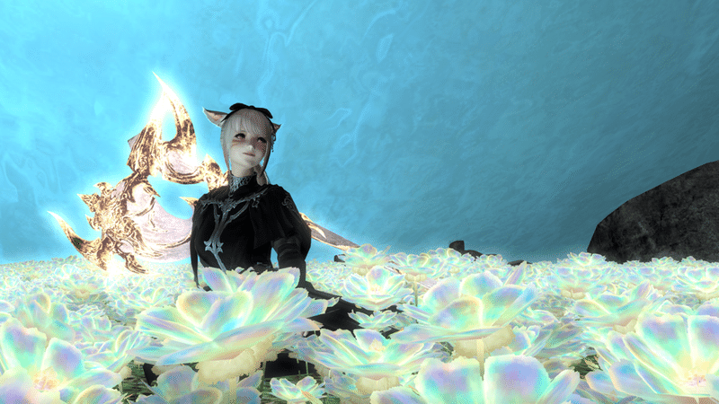 【FF14】SSをキレイに撮りたい！写真から学ぶ基礎知識｜しろぬこ