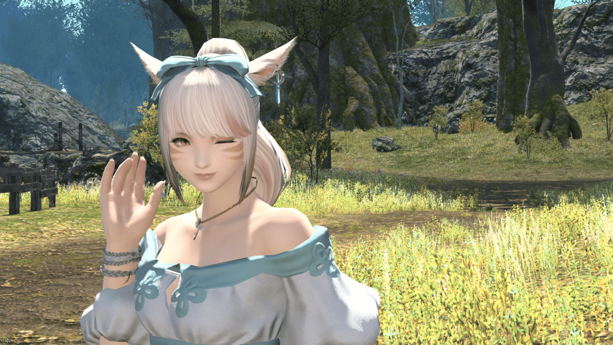 【FF14】SSをキレイに撮りたい！写真から学ぶ基礎知識｜しろぬこ