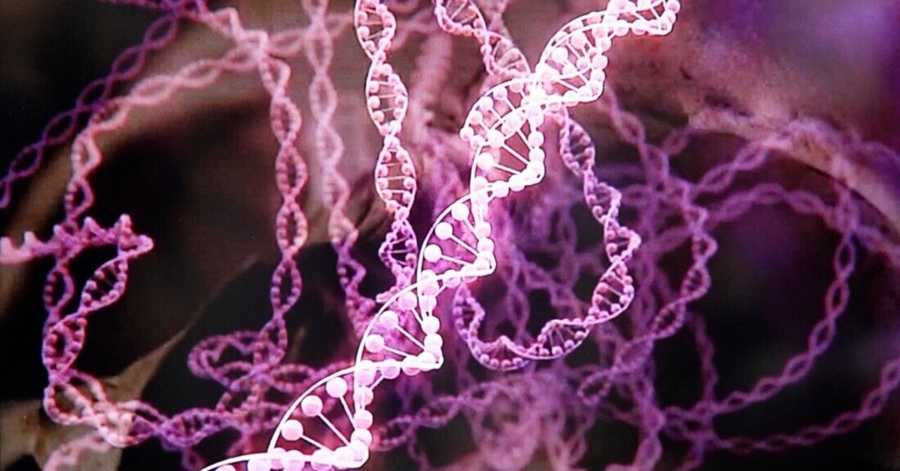 日本人＝縄文人＋弥生人＋古墳人か？～進むゲノム＆DNA解析技術｜oichan