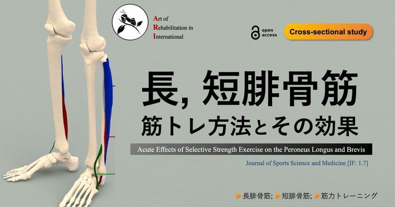 長腓骨筋 短腓骨筋。筋トレ方法とその効果|super Human 理学療法士/保健学博士 Phd