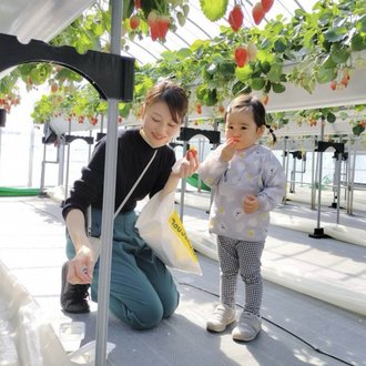 夏花 Natsuka ｜note