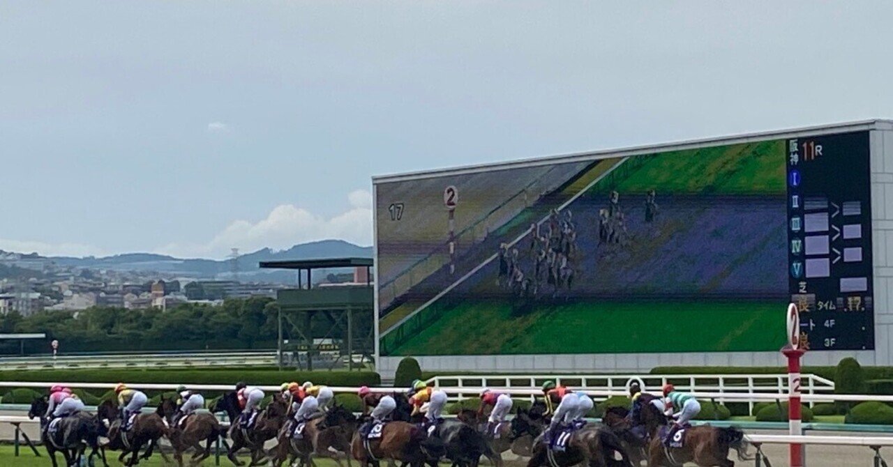 🌈2023年12月1617日日 中央競馬🏇🟥中山・阪神競馬場🔵🔥g1朝日杯フューチリティ、ターゴワイスs🔥 🔥枠順確定版注目馬