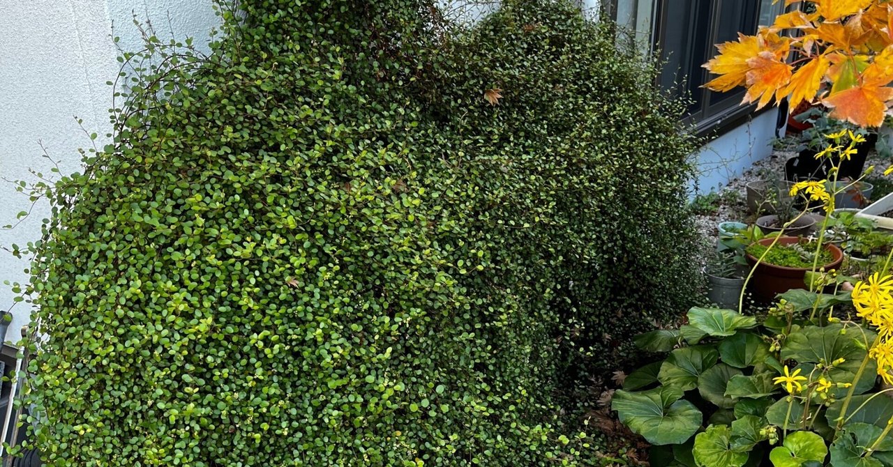 niwaijiri_ken｜note