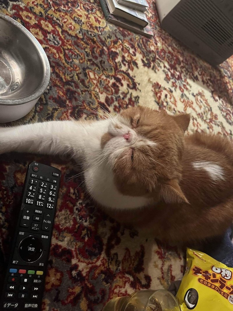 クリスマス｜倉田茉美 mami kurata