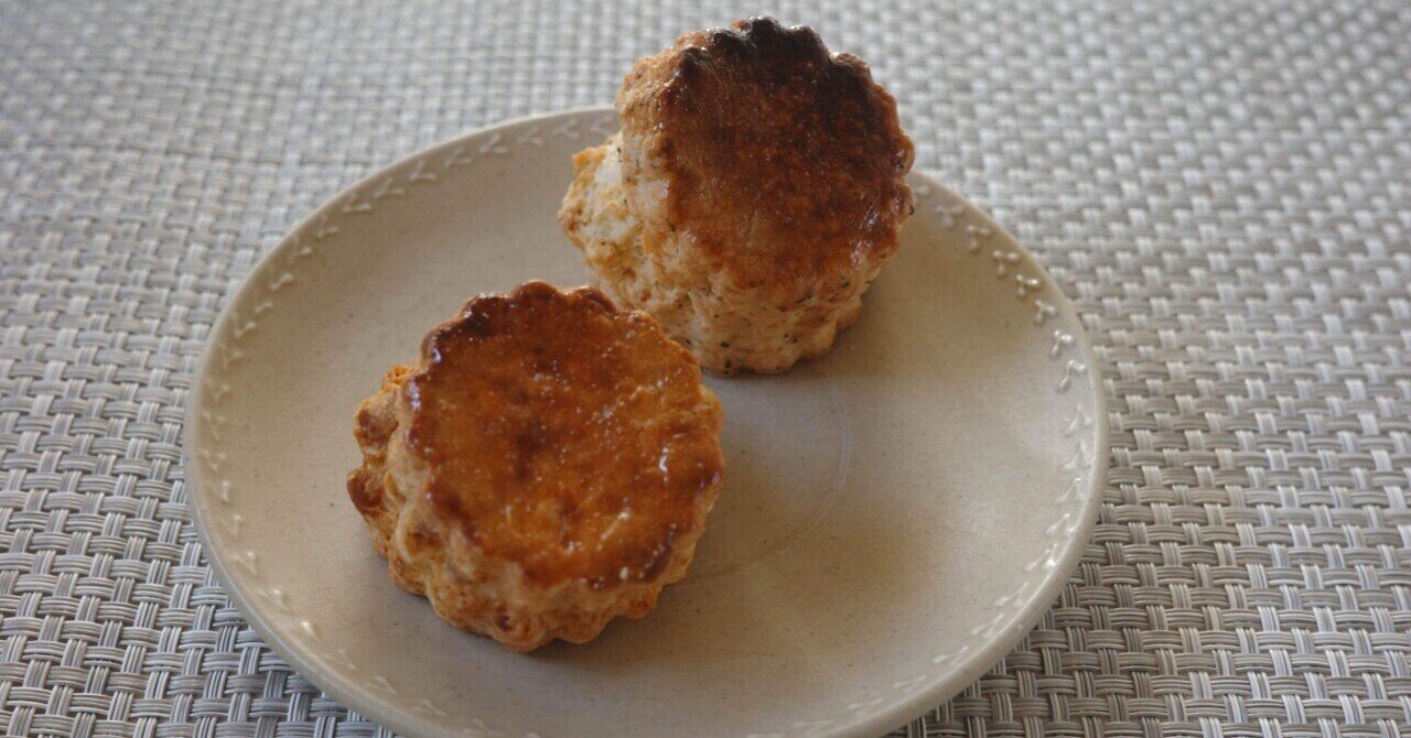 🐈‍⬛｜shirasu camera