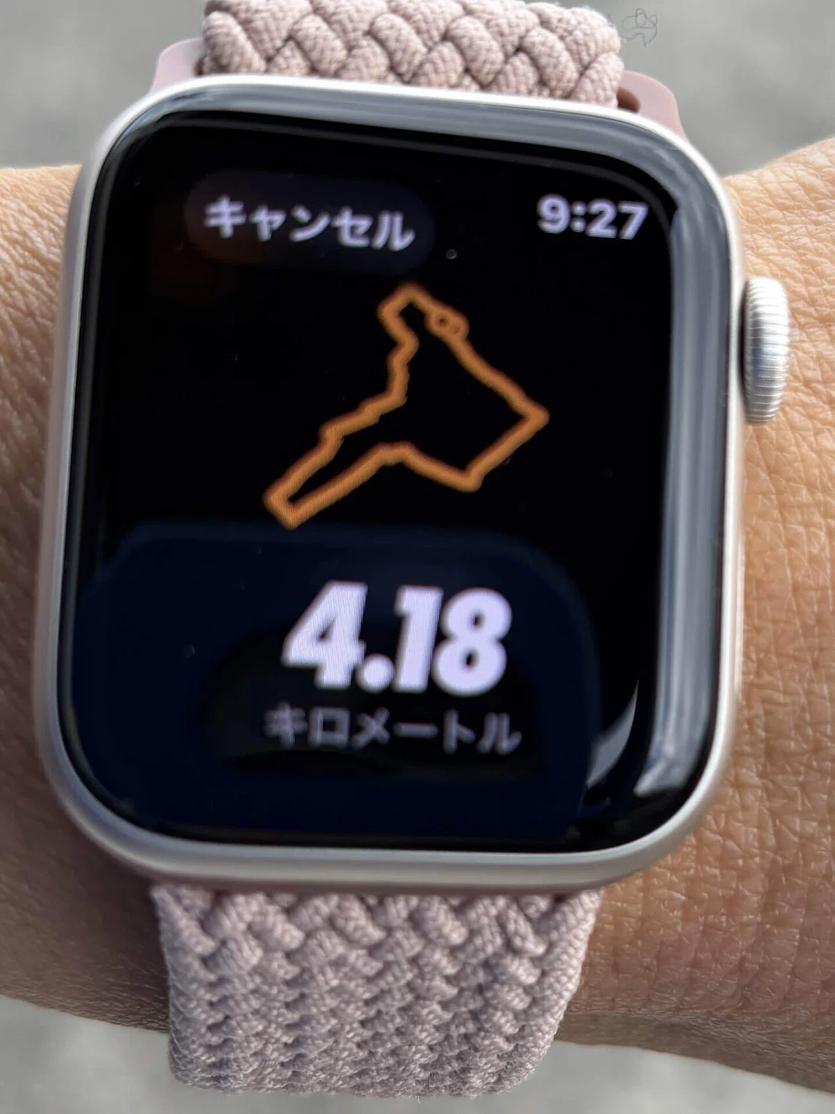 Apple watch 50代女子〜バンドファッションを楽しむ｜Lucydog