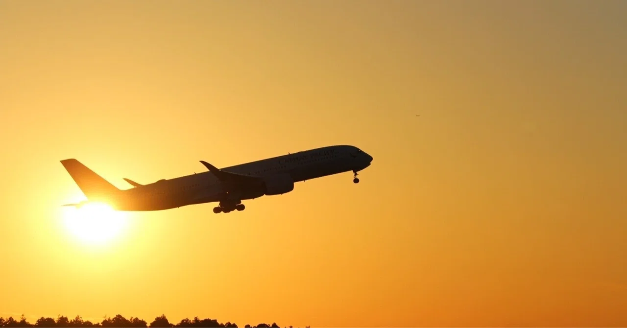 C-C-B的修学旅行。 その2｜taramo