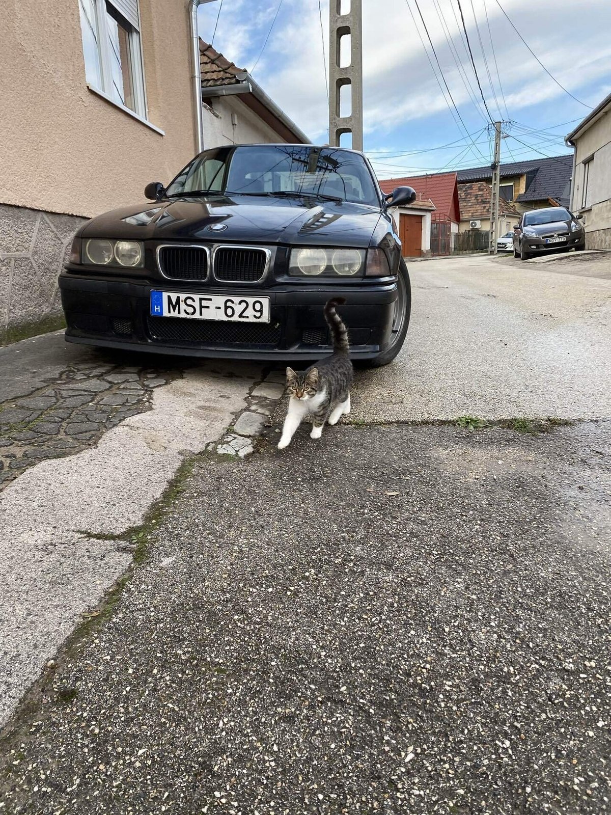 日系企業の工場もあるハンガリーの古都 エステルゴム【ヨーロッパ編＃19】｜Yuya INOUE