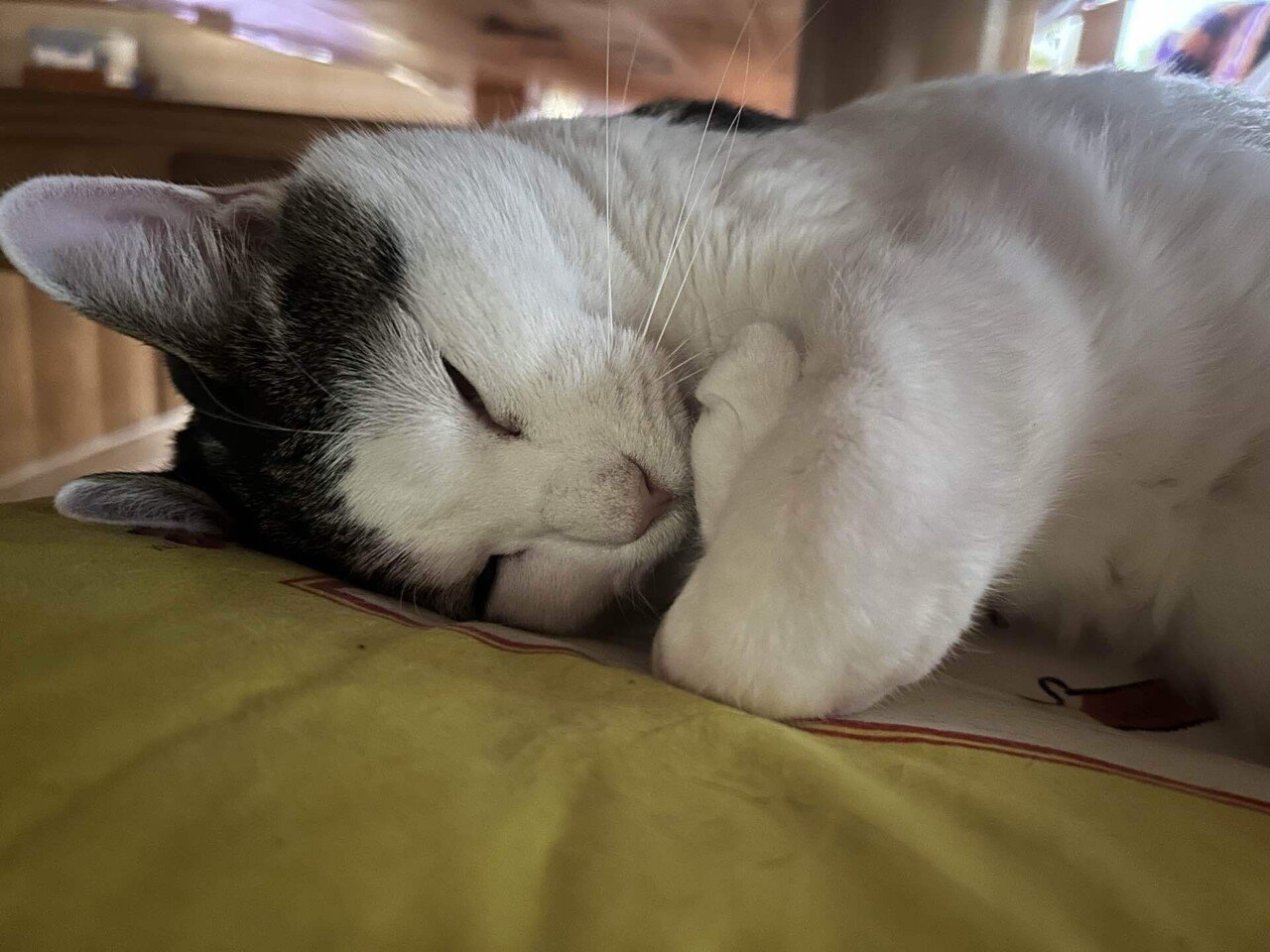 myuuu_2@みゅ｜note